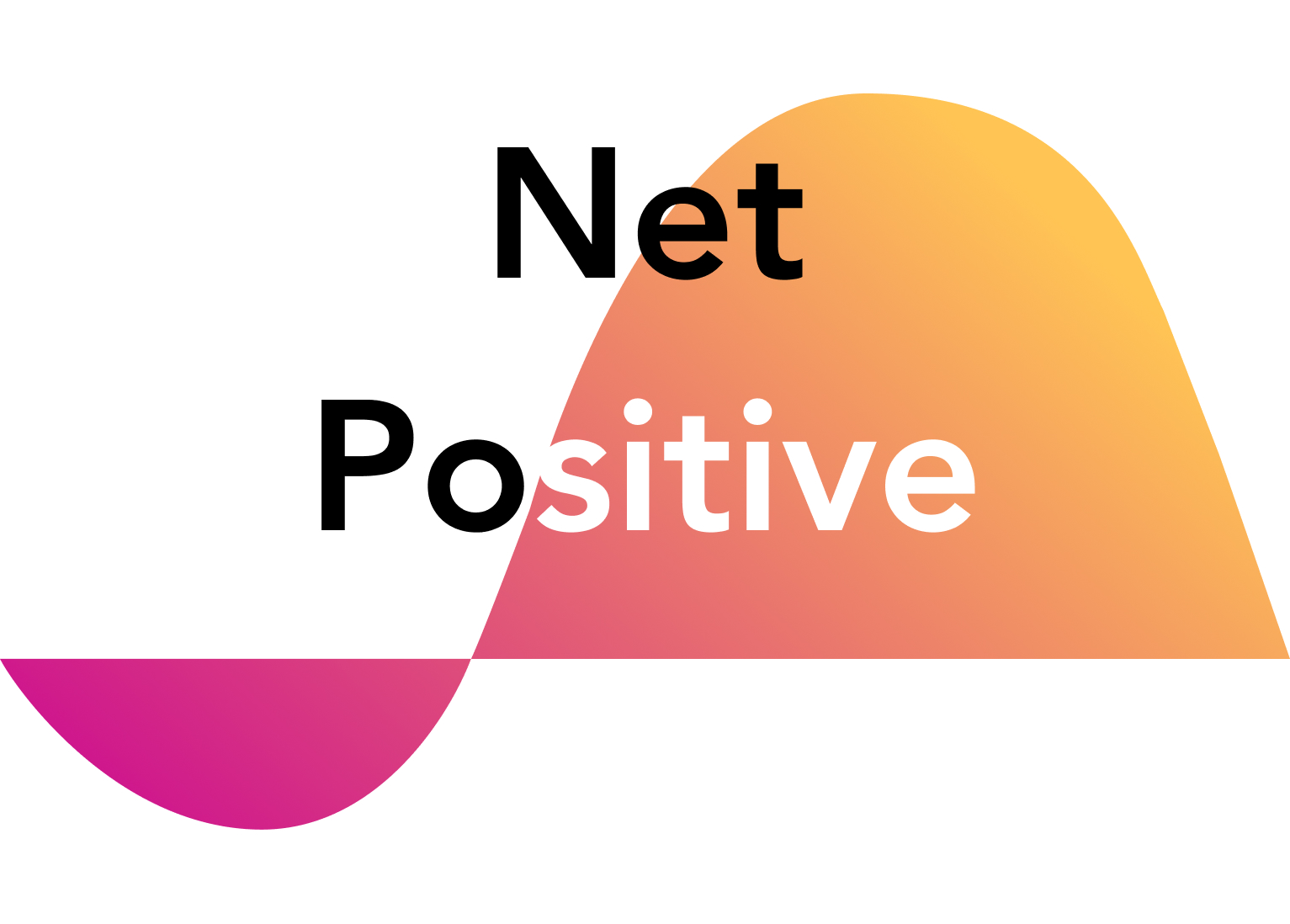 What is Net Positive? - Net Positive